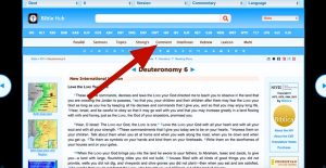 The ULTIMATE Guide to Using Biblehub.com - Steadfast Family